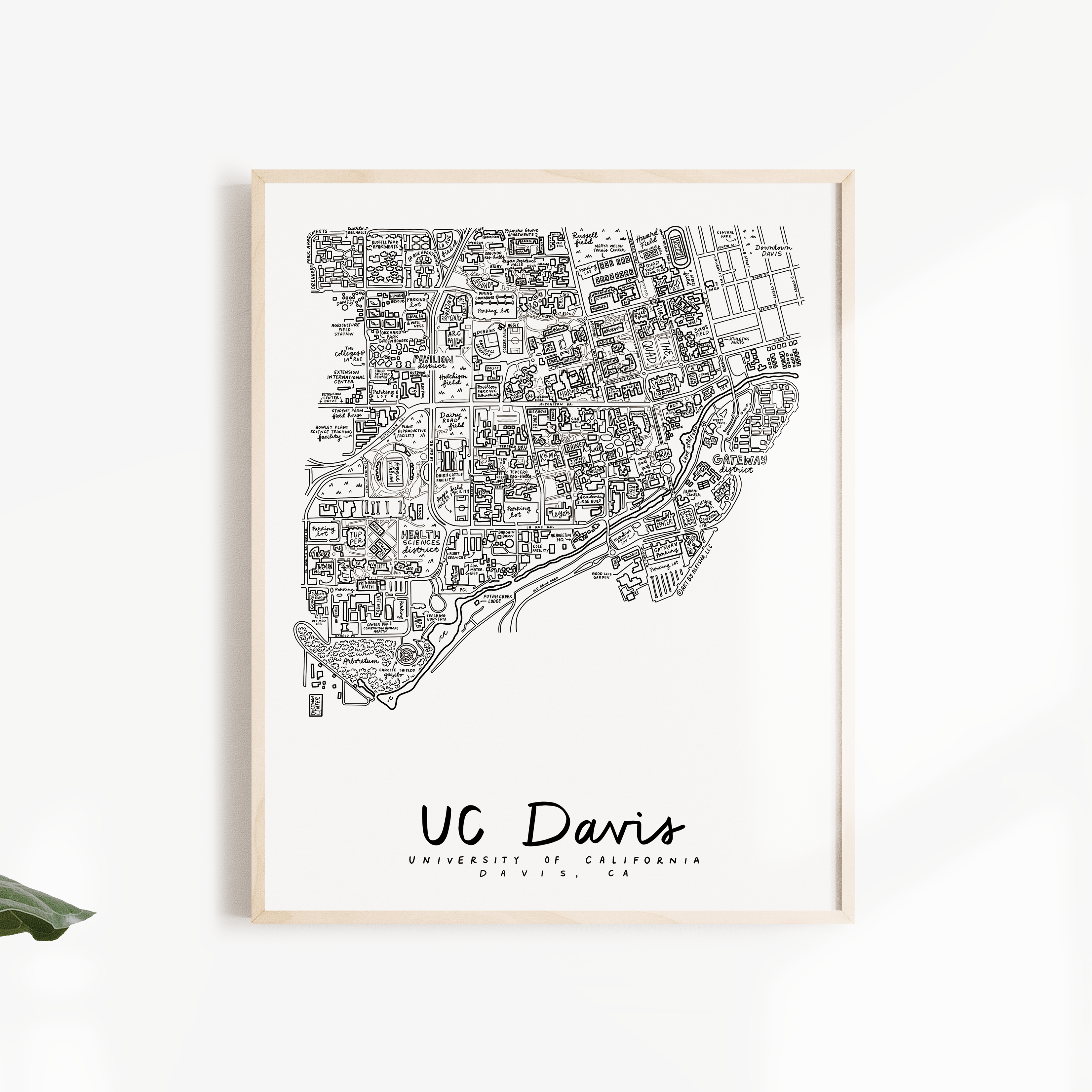 UC Davis Campus Map Print – (BY) ALEISHA