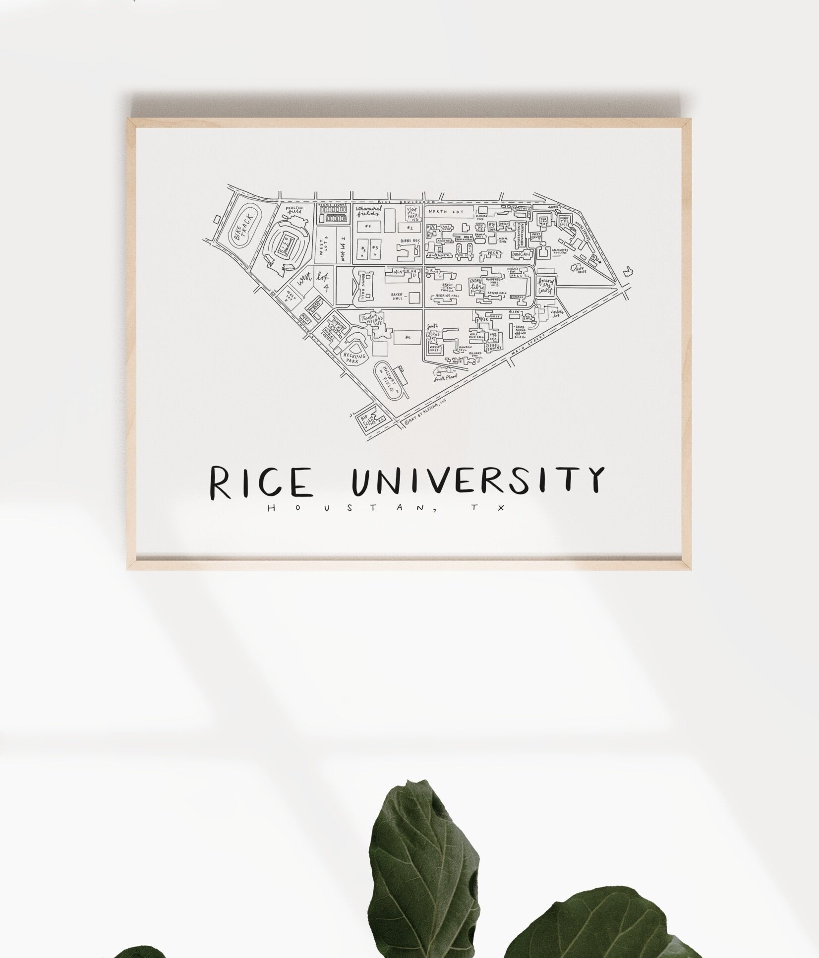 Rice University Campus Map Print – (BY) ALEISHA