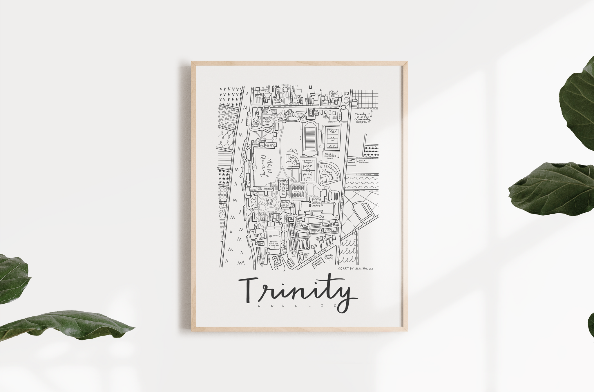 Trinity College Campus Map Print – (BY) ALEISHA